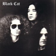 Black Cat Peter Thorne